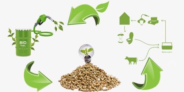 O que é biomassa? Vantagens e desvantagens! - Tecnologia É O que é biomassa? Vantagens e desvantagens! - Tecnologia É
